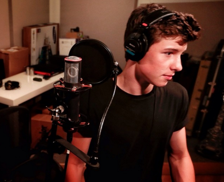 Manley Reference Cardioid Tube Microphone - What To Know & Where To Buy ...